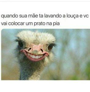 70 Memes Engraçados para Whatsapp com Imagens e Frases