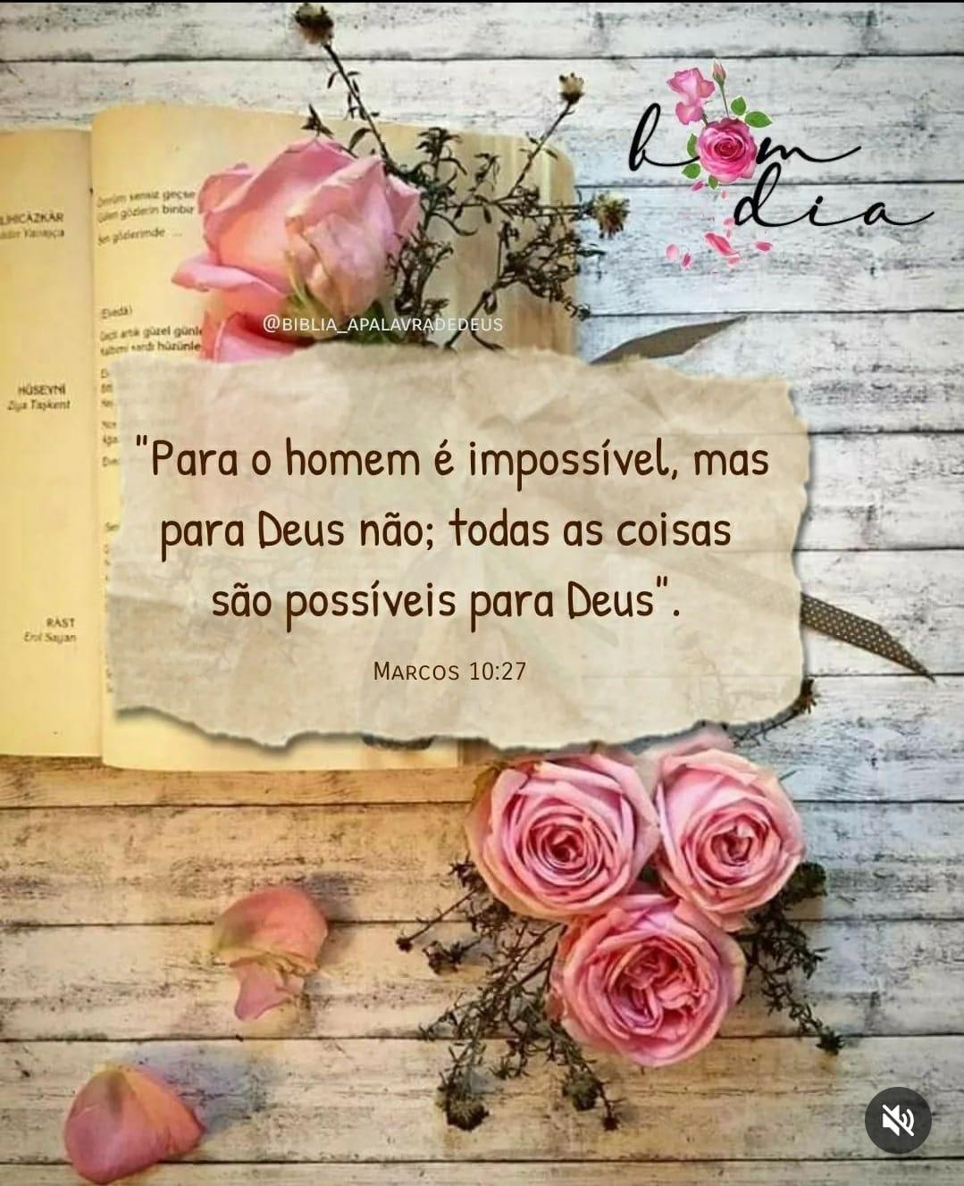 15 Frases de Motivação de Deus para Superar Desafios